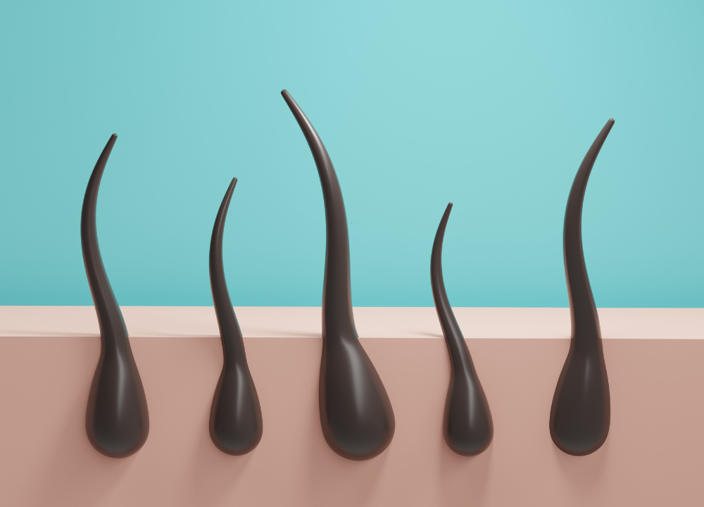 How Estrogen Levels Impact Hair Growth and Ways to Enhance Them - Elite ...